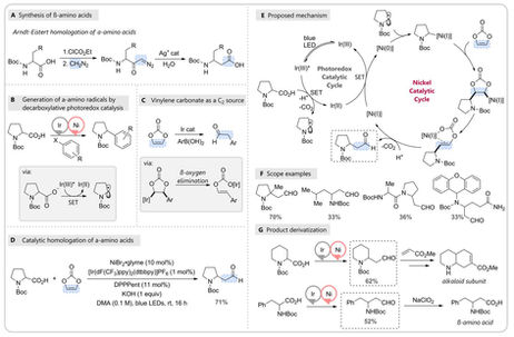 Newman Lab - Publications